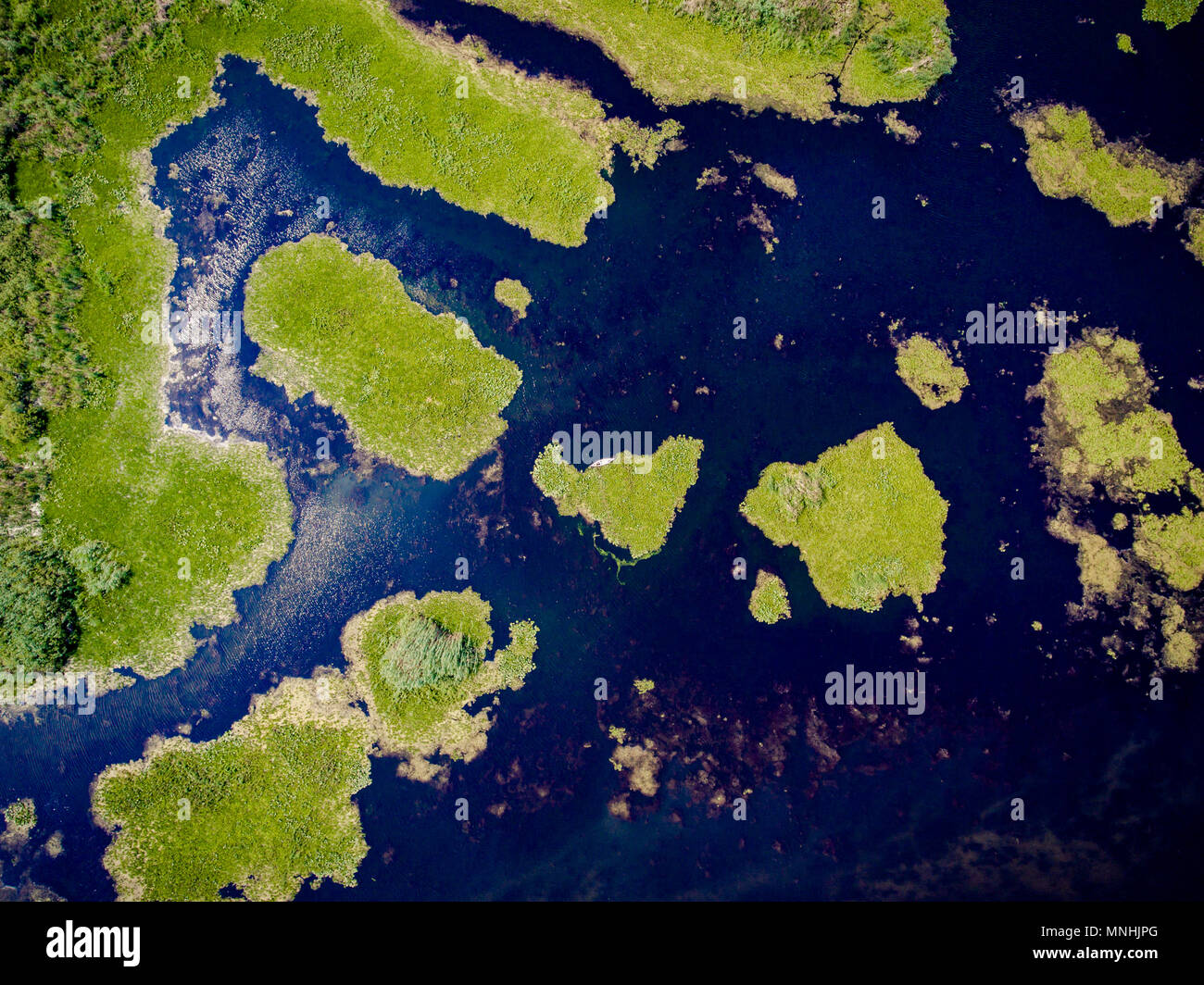 Aerial view of the delta danube hi-res stock photography and images - Alamy