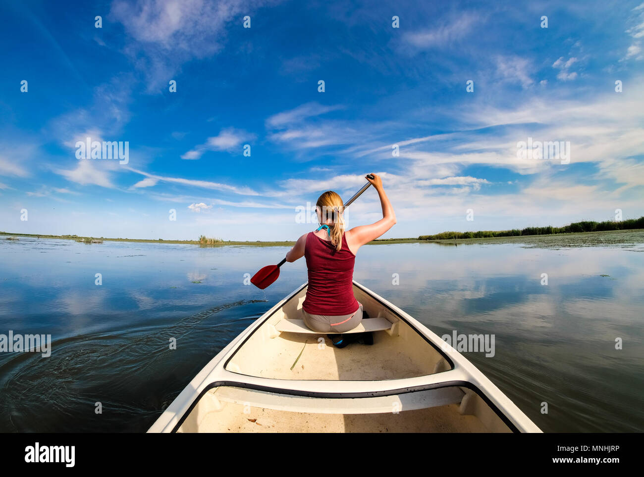 Woman exploding Danube Delta in a boat Stock Photo - Alamy