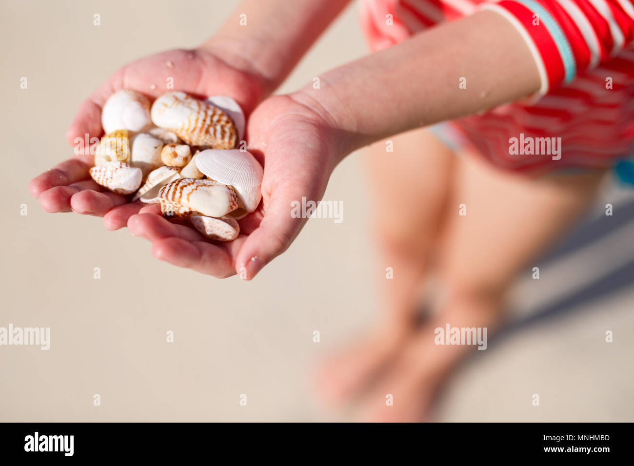Girl holding shells hi-res stock photography and images - Alamy
