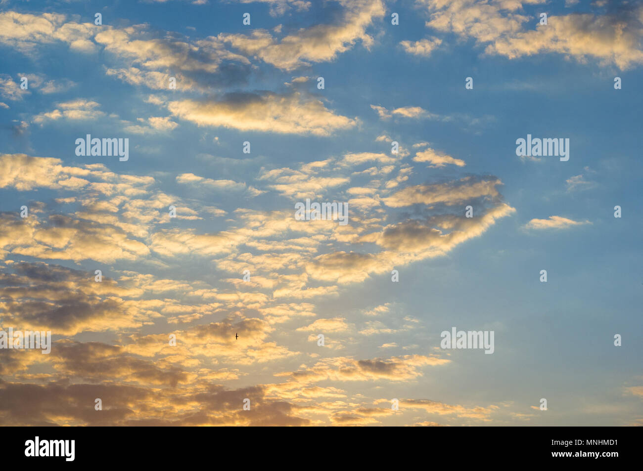Landscape with dramatic light - beautiful golden sunset with saturated ...