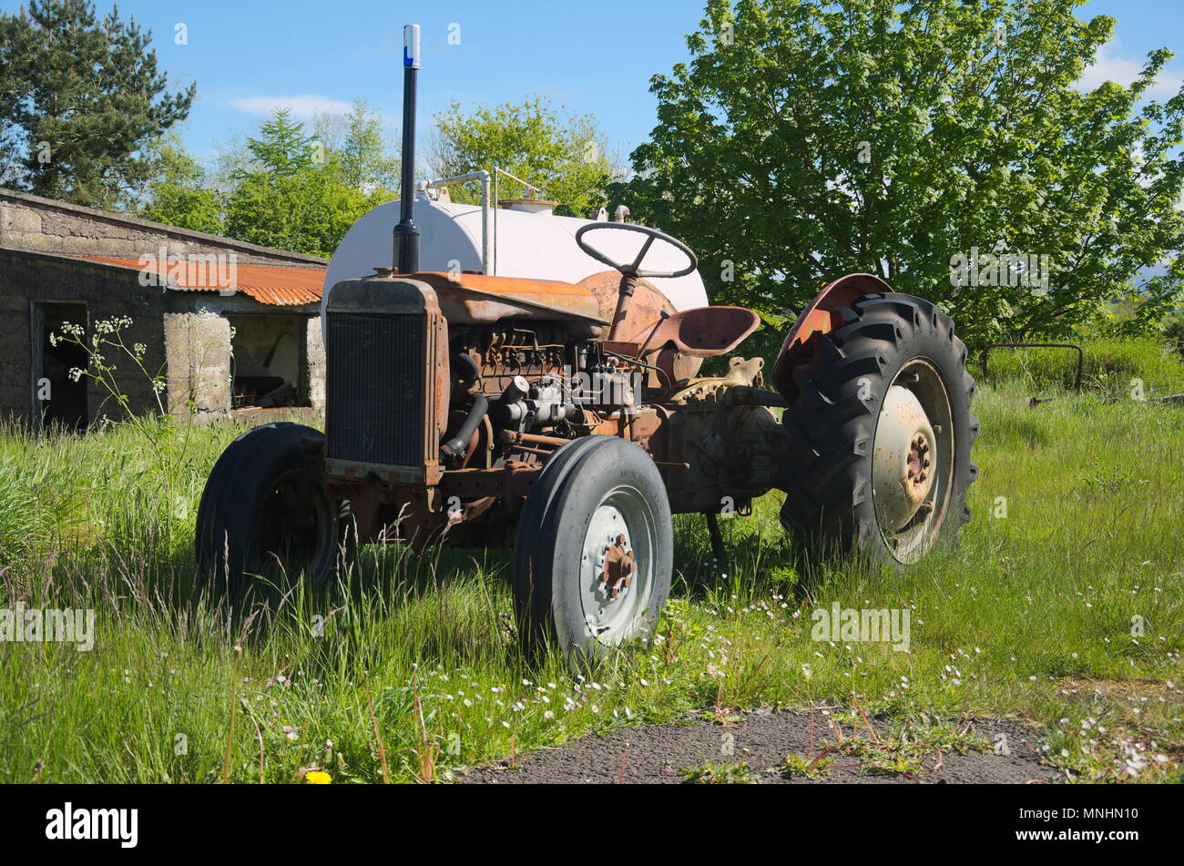 Classic ferguson tractor hi-res stock photography and images - Alamy