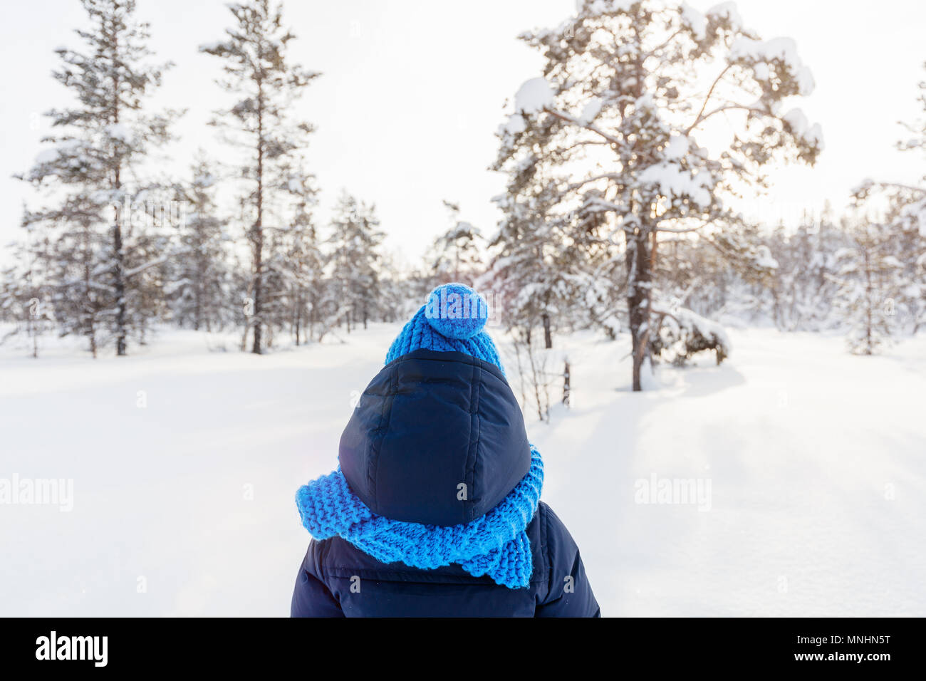 Back view of little girl wearing warm clothes outdoors on beautiful ...