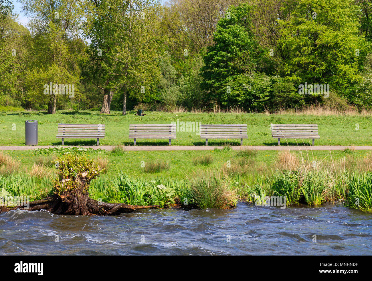 Benches in forest hi-res stock photography and images - Alamy