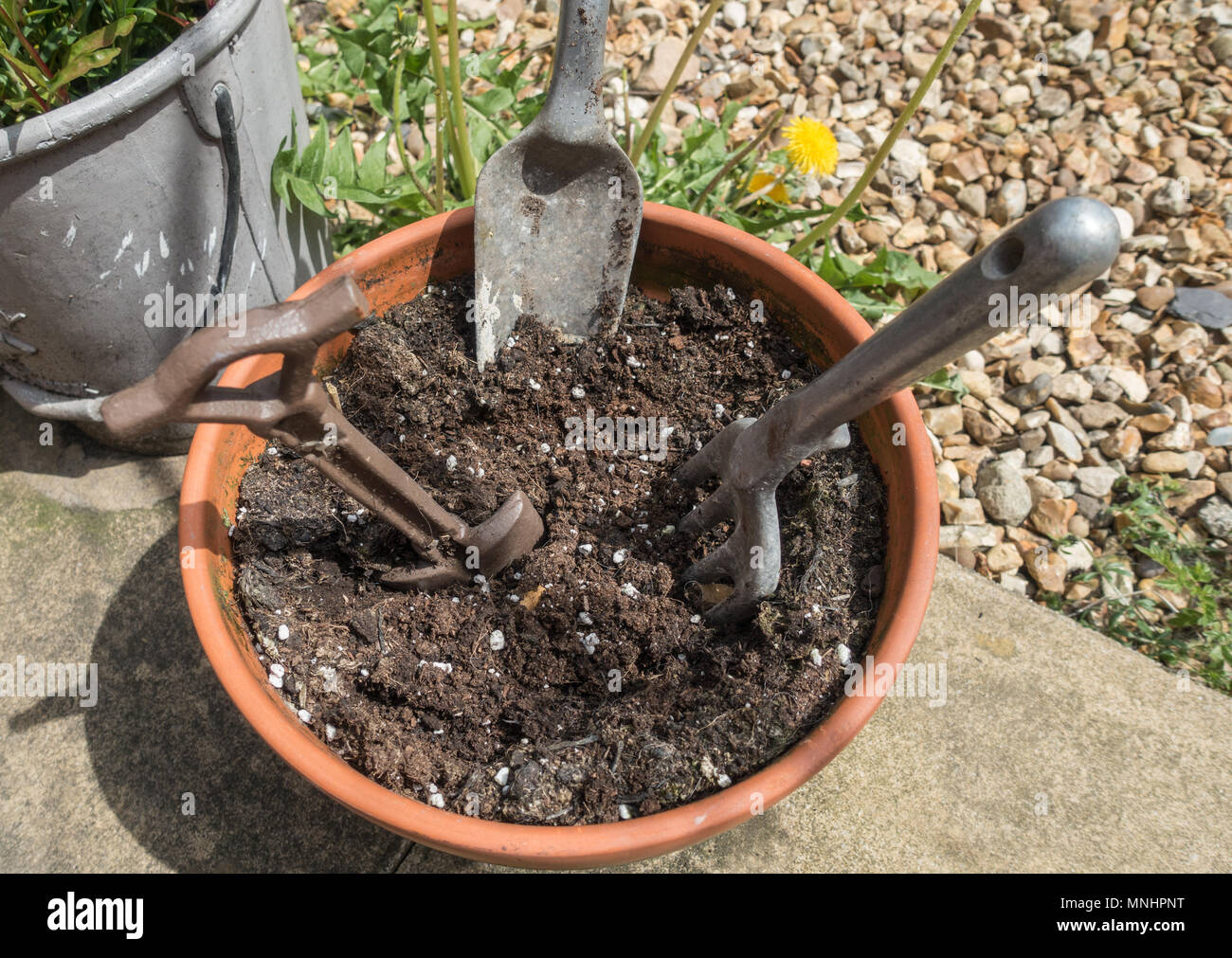Garden tools in a pot of mud Stock Photo - Alamy