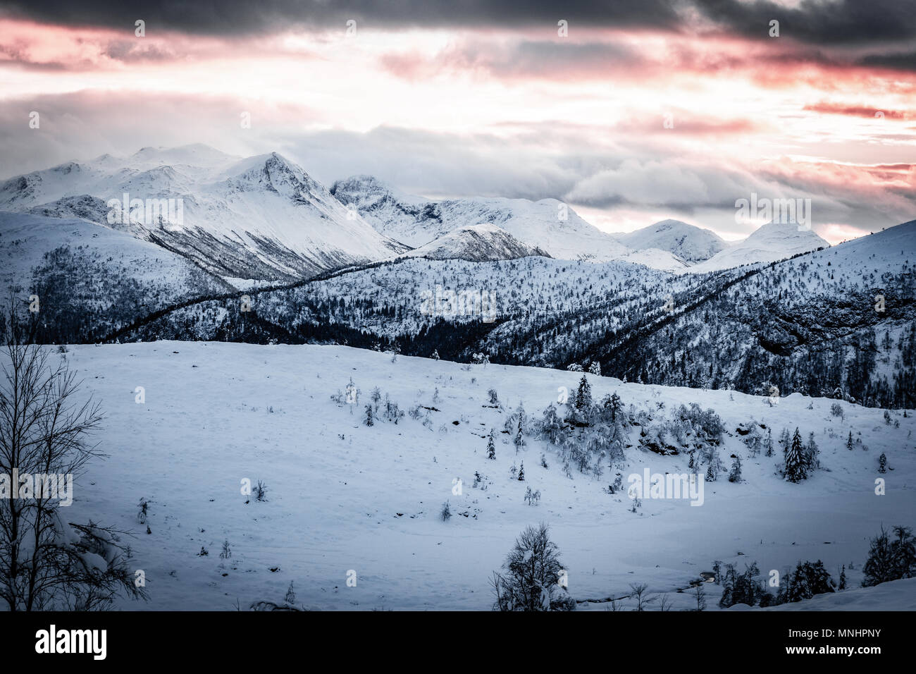 Volda orsta hi-res stock photography and images - Alamy