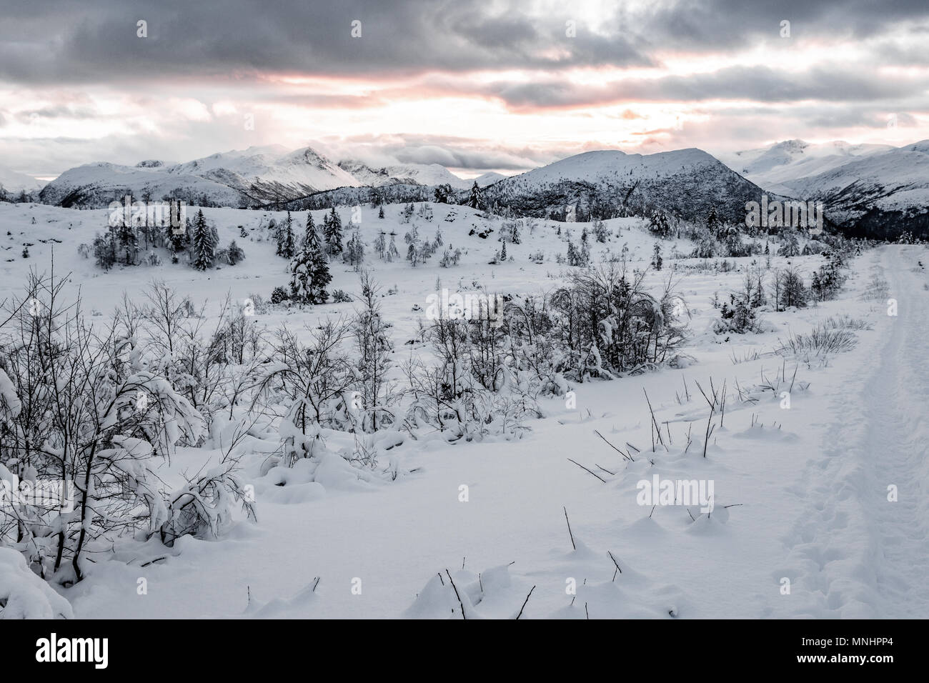 Volda orsta hi-res stock photography and images - Alamy