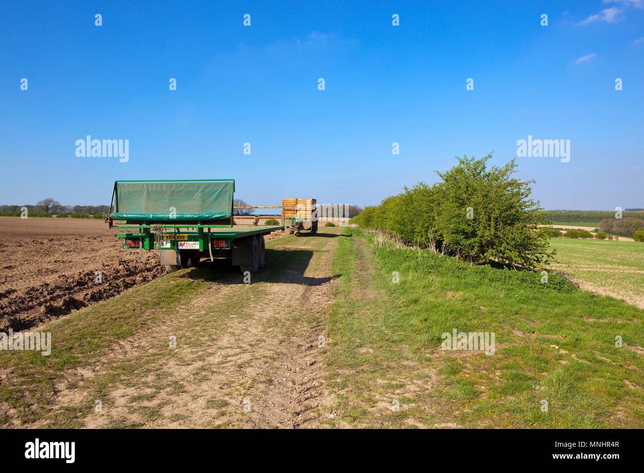 farm trailers with crates of seed potatoes near plow soil in an upland ...