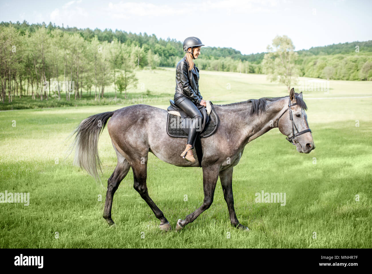 Woman in leather jacket with protective helmet riding a horse on the ...