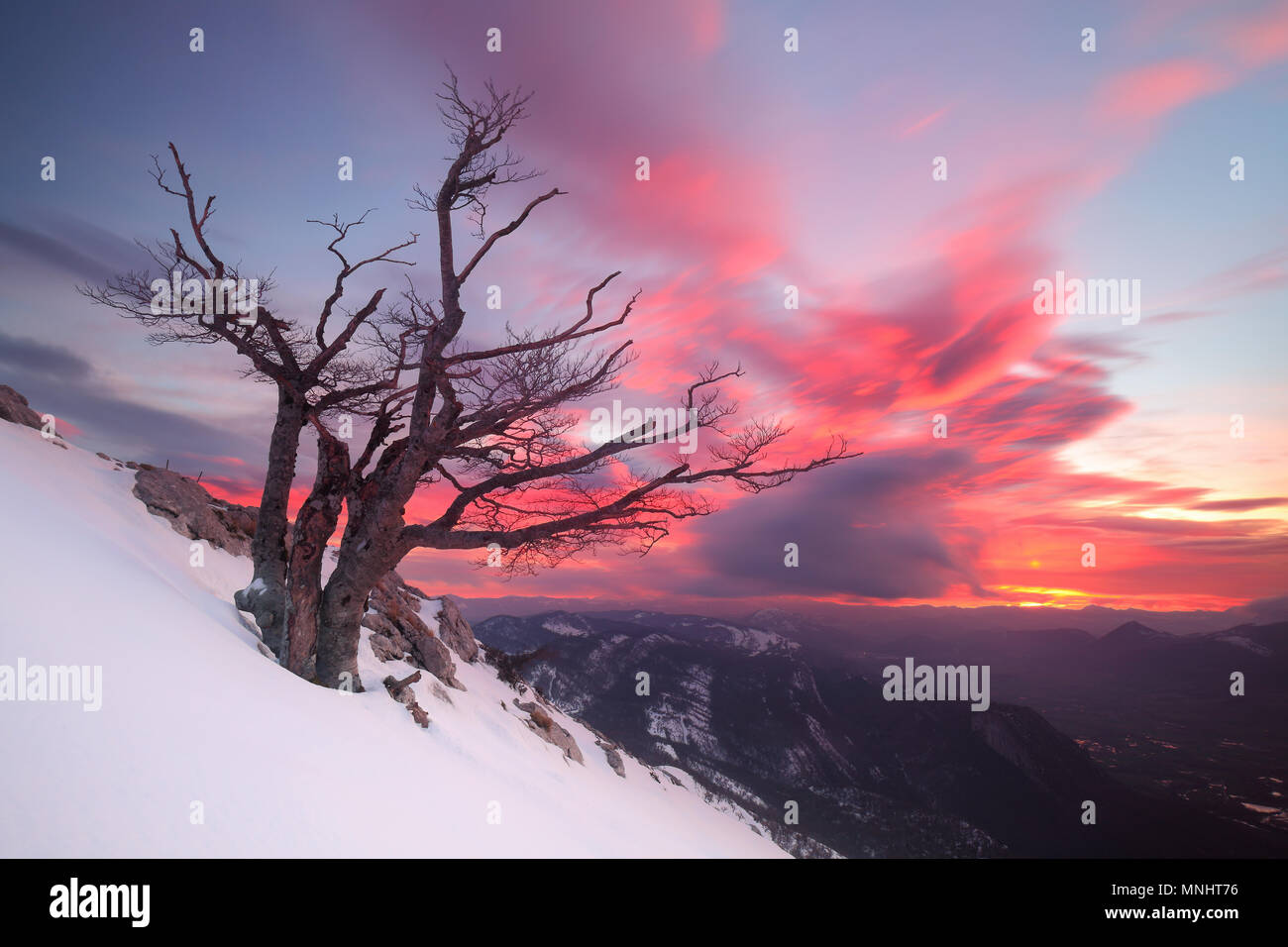 Aralar hi-res stock photography and images - Alamy