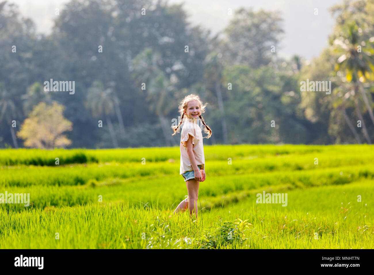 Adorable girl enjoying beautiful evening walk in rice fields in Sri ...