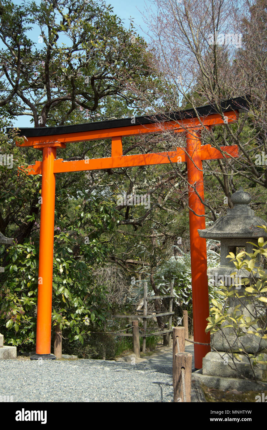 Red torii at Ryoan-ji temple in Kyoto, Japan during cherry-blossom ...