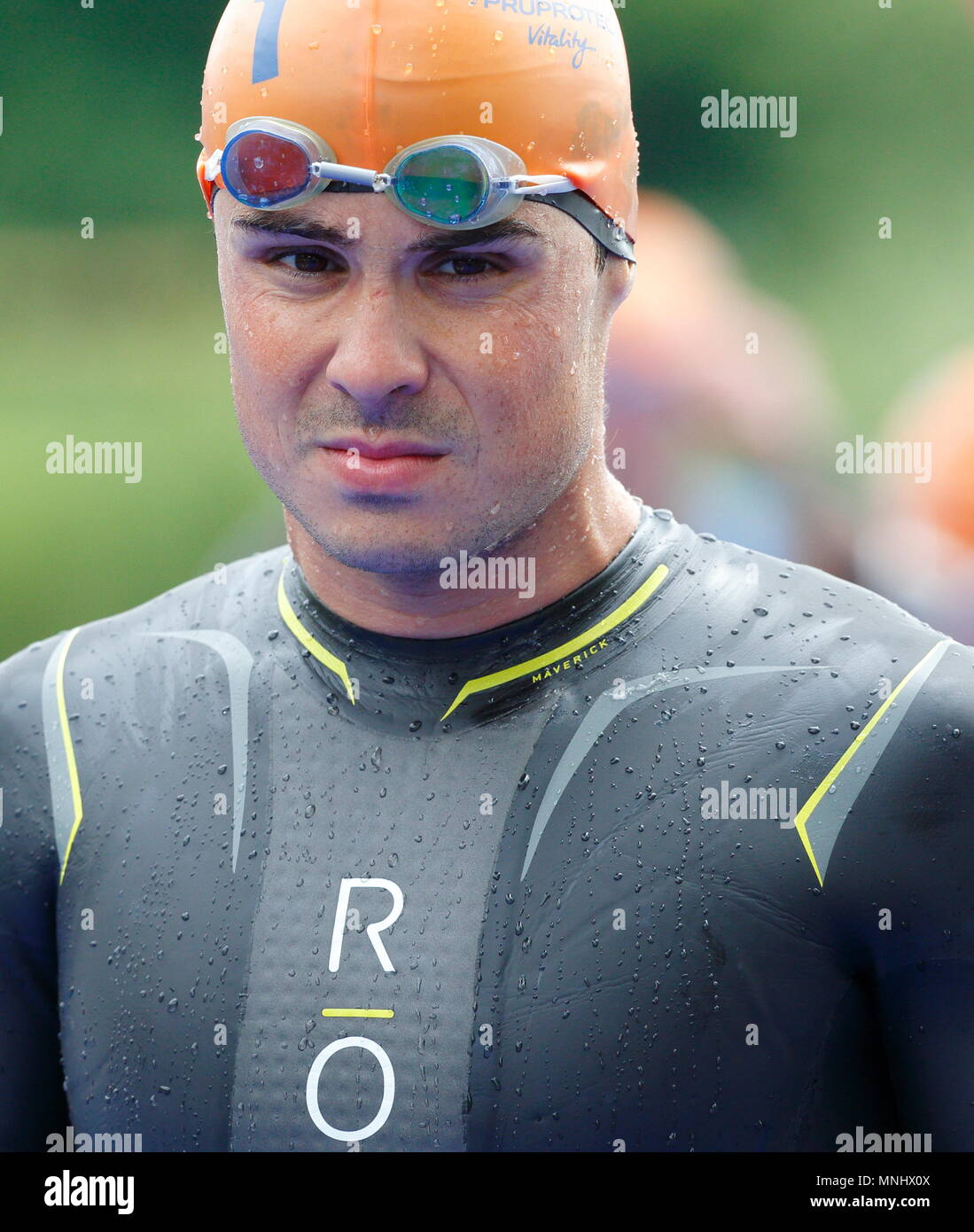 Serpentine leg hi-res stock photography and images - Alamy