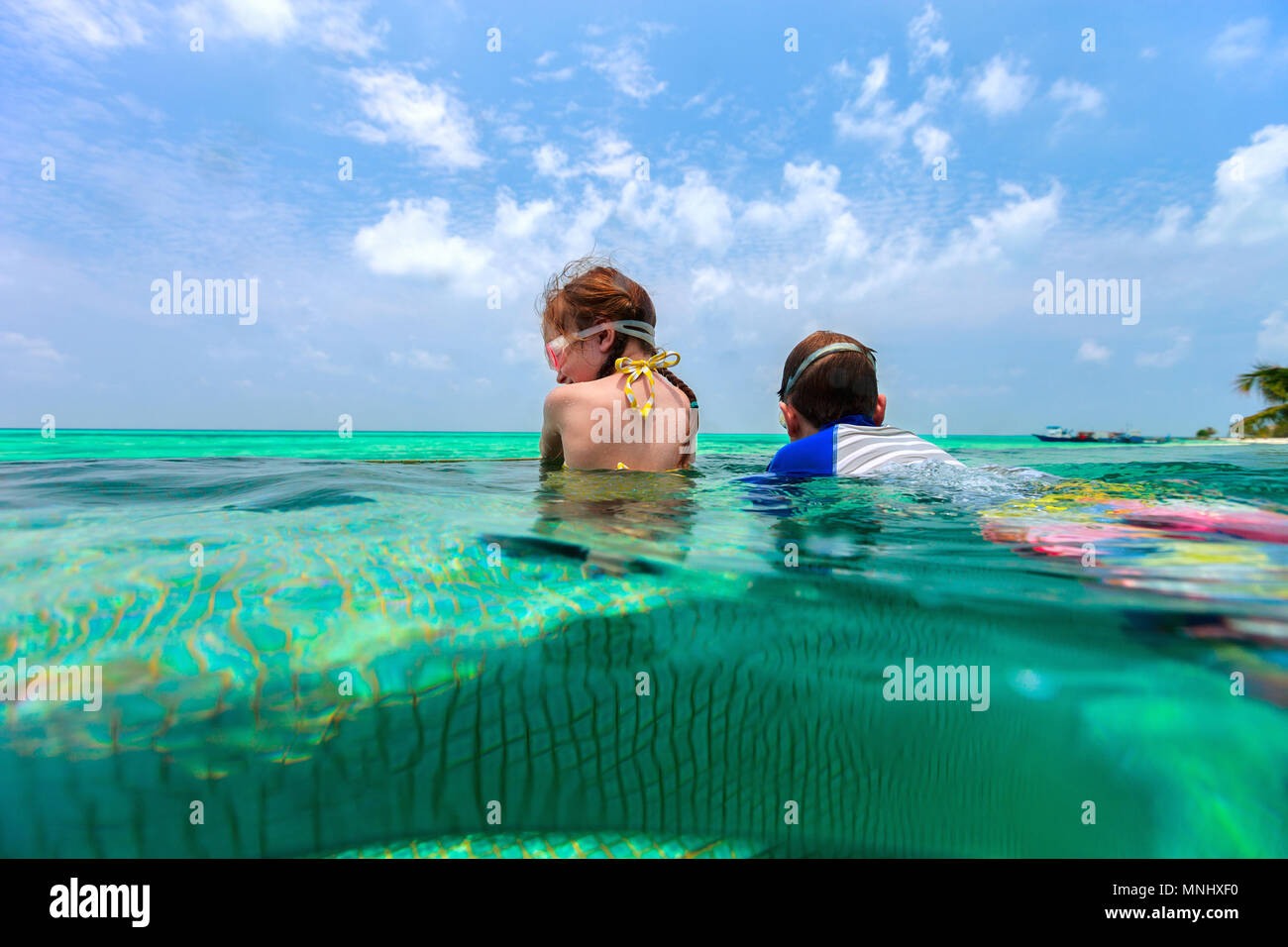 Half Underwater Swimming Pool Stock Photos & Half Underwater Swimming ...