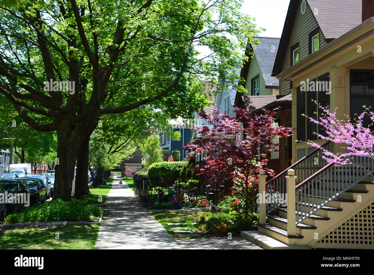 A residential street in the Lincoln Square neighborhood of Chicago in ...