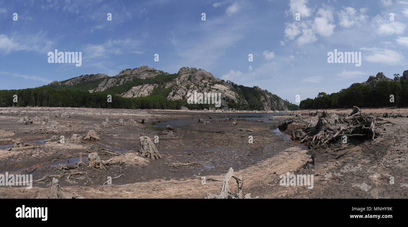 Dried lake with dead trees on corsica. Panoramic view Stock Photo - Alamy