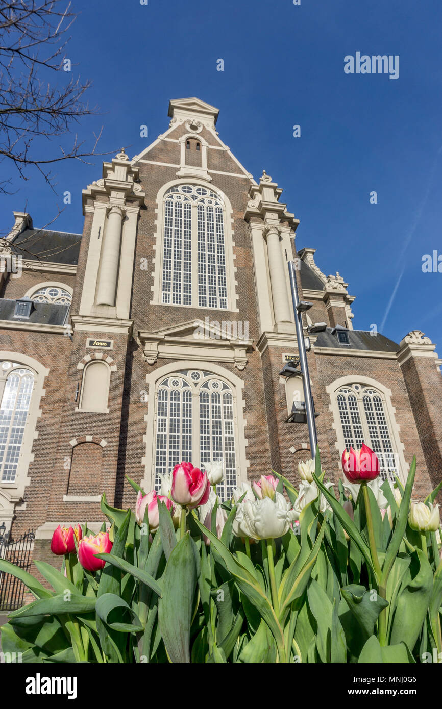 Westerkirk amsterdam hi-res stock photography and images - Alamy