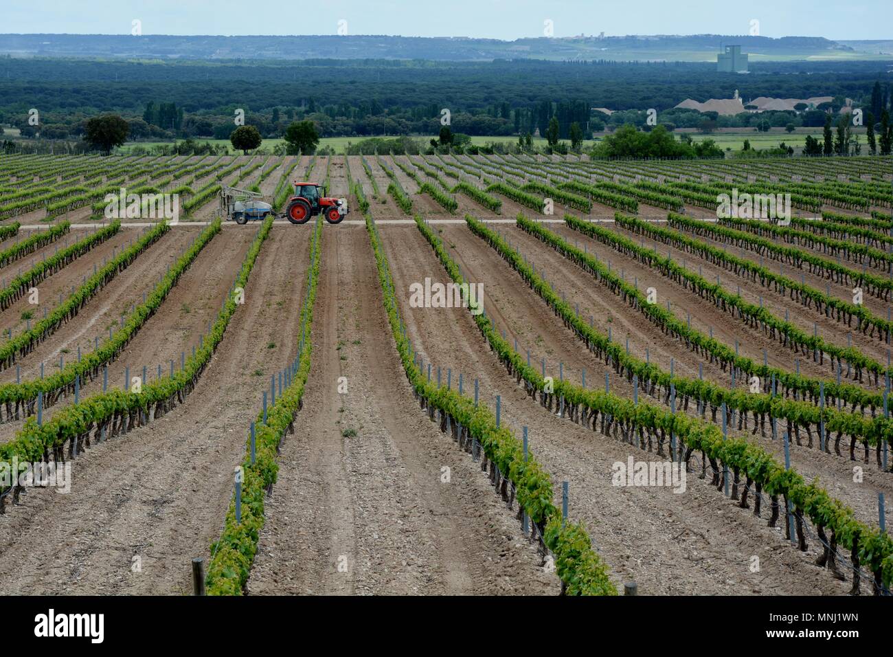 Vineyard tractor hi-res stock photography and images - Alamy