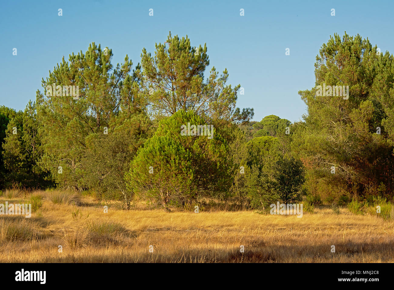 Baragem hi-res stock photography and images - Alamy