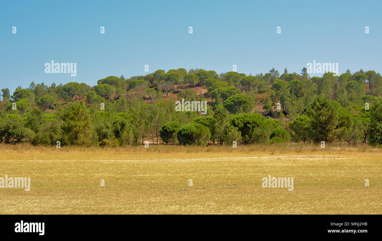 Montargil hi-res stock photography and images - Alamy
