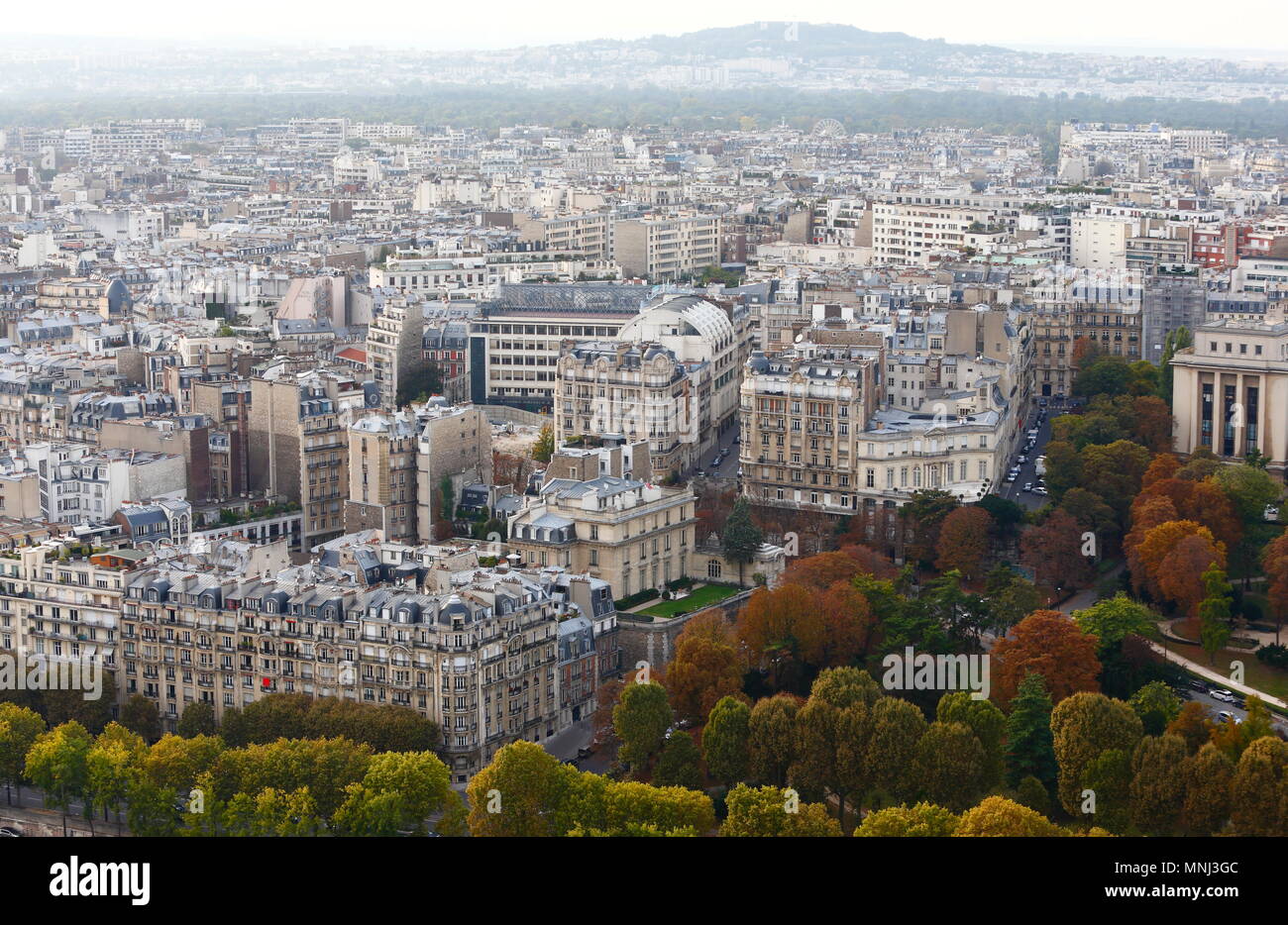 Parisienne architectural style amid the rooftops of the Paris city ...