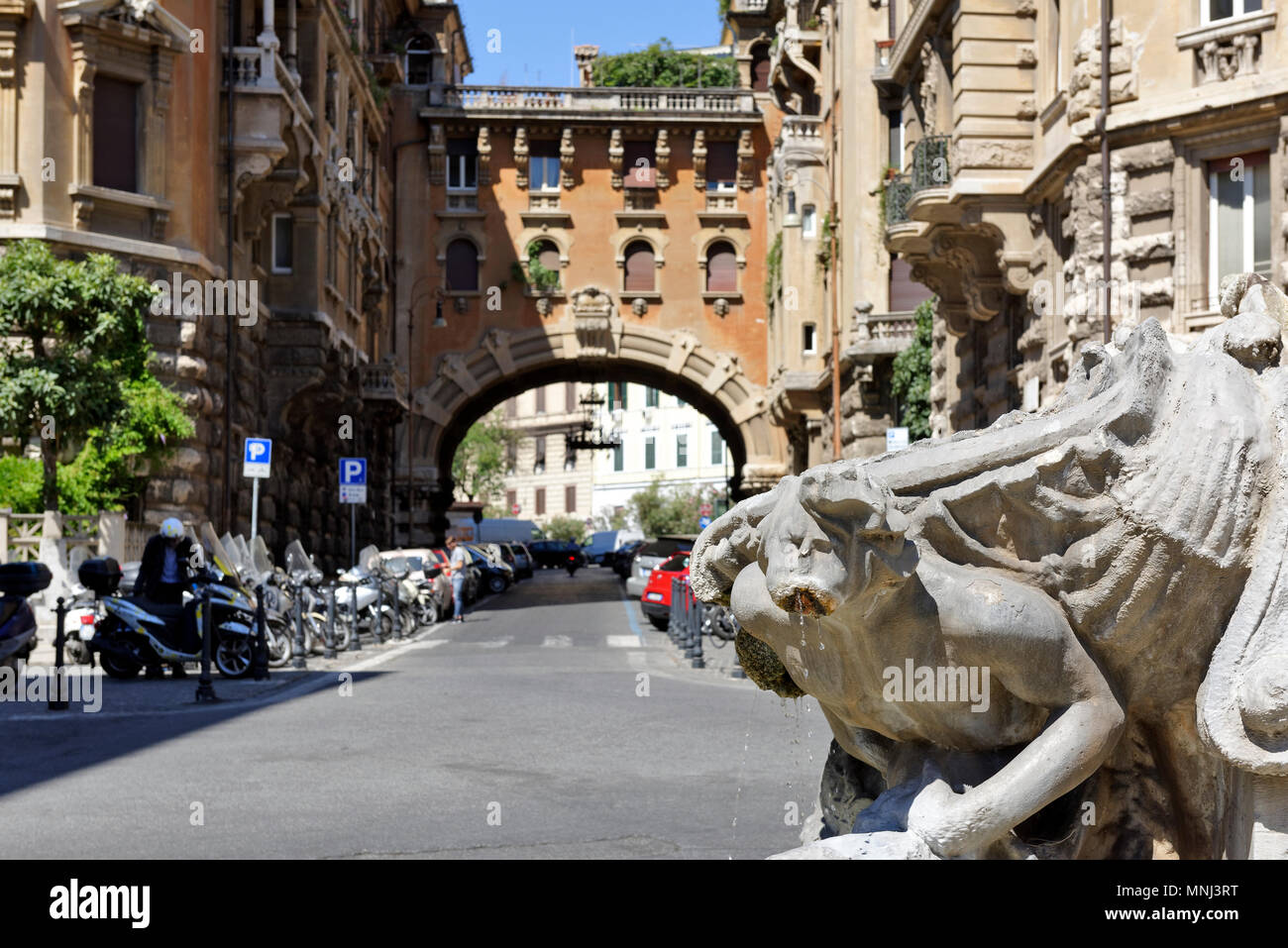 View of the arched entrance and the Fontana delle Rane (Fountain of the ...