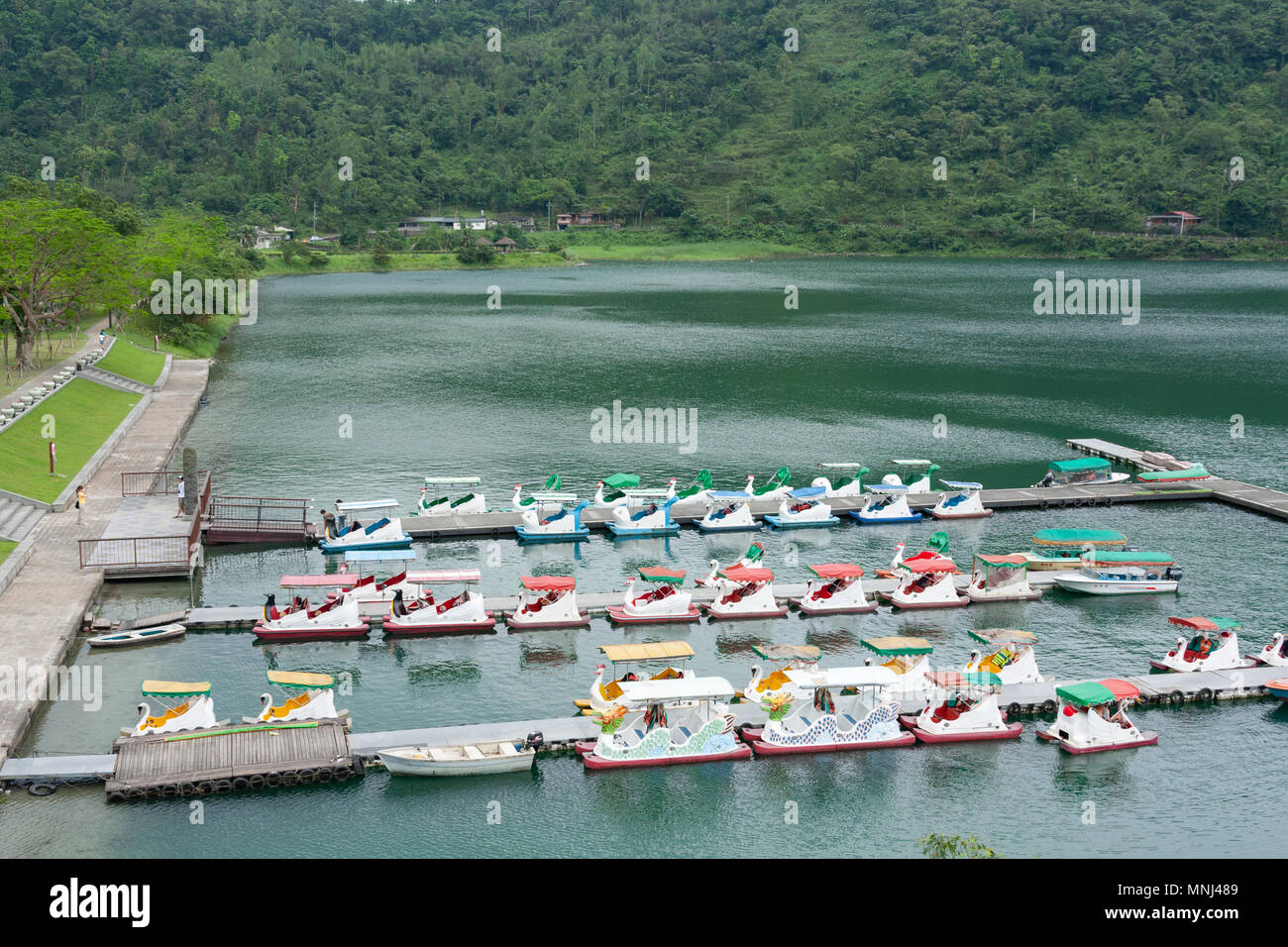 Carp lake taiwan hi-res stock photography and images - Alamy