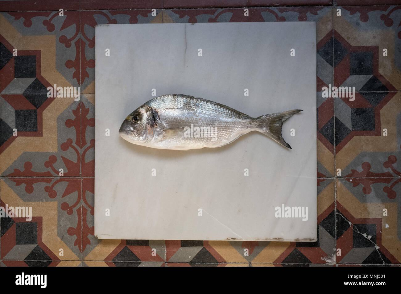 Sparus aurata hi-res stock photography and images - Alamy