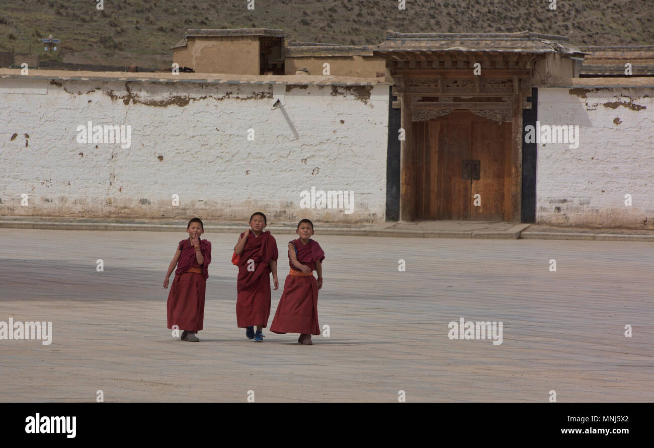 Young Tibetan Gelukpa monks, Labrang Monastery, Xiahe, Gansu, China ...