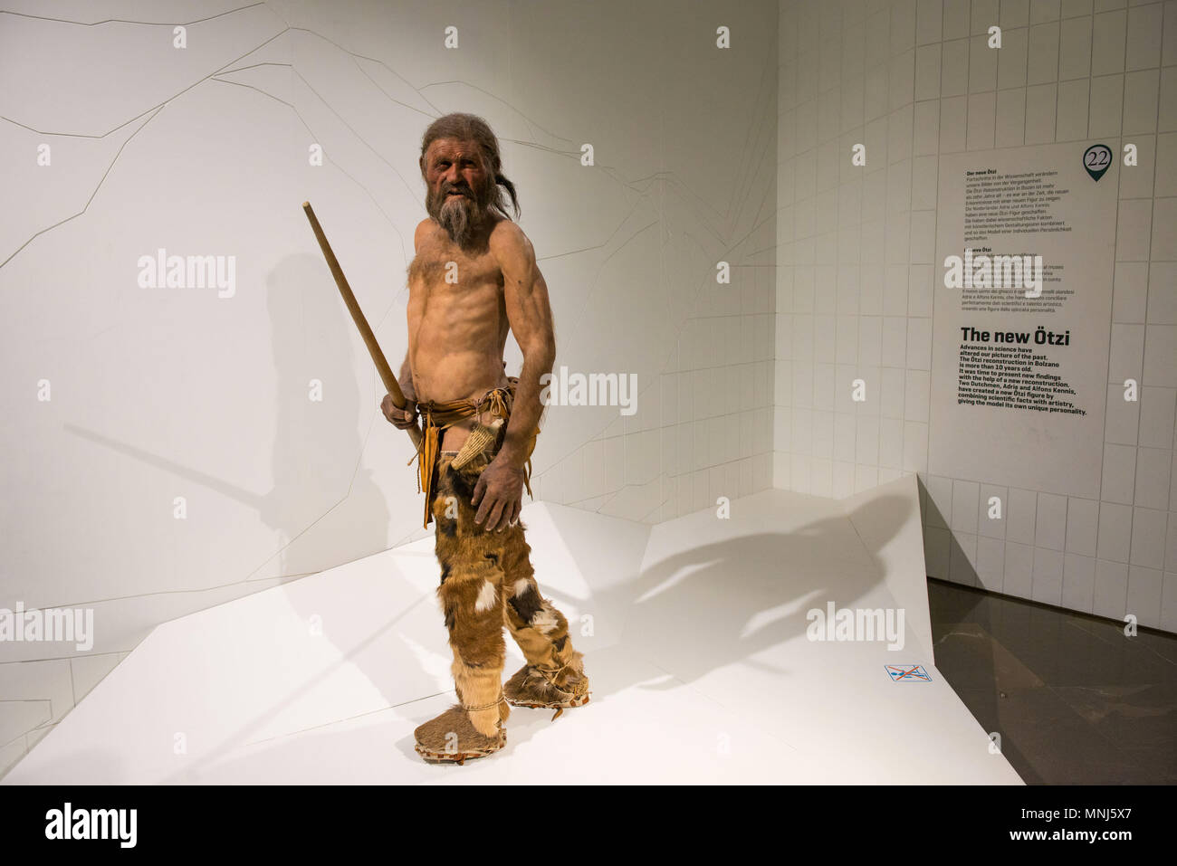 Otzi iceman hi-res stock photography and images - Alamy