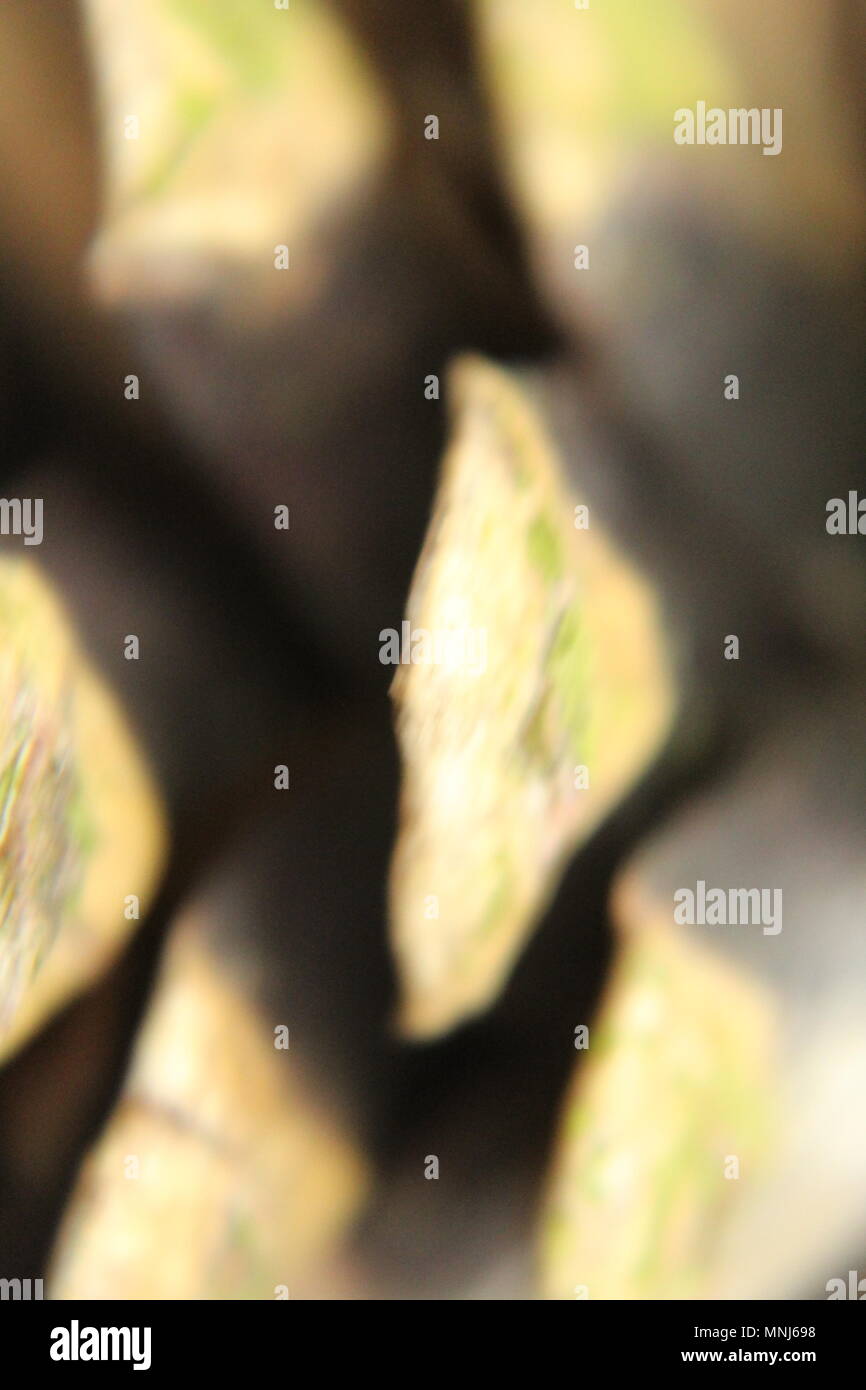Thistle pine cone hi-res stock photography and images - Alamy