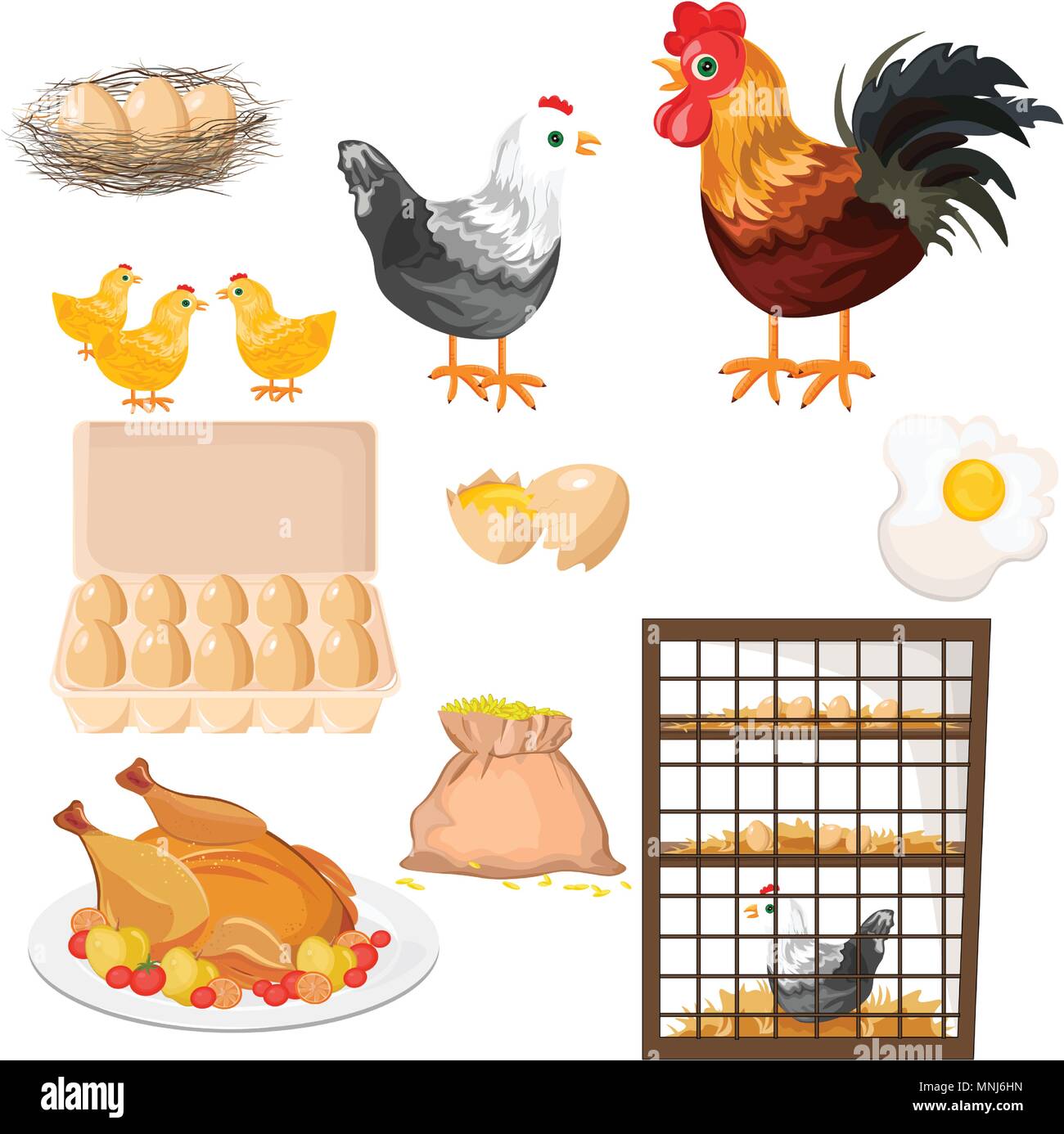Eco farming. Rooster, chicken and eggs pattern Vector Stock Vector ...