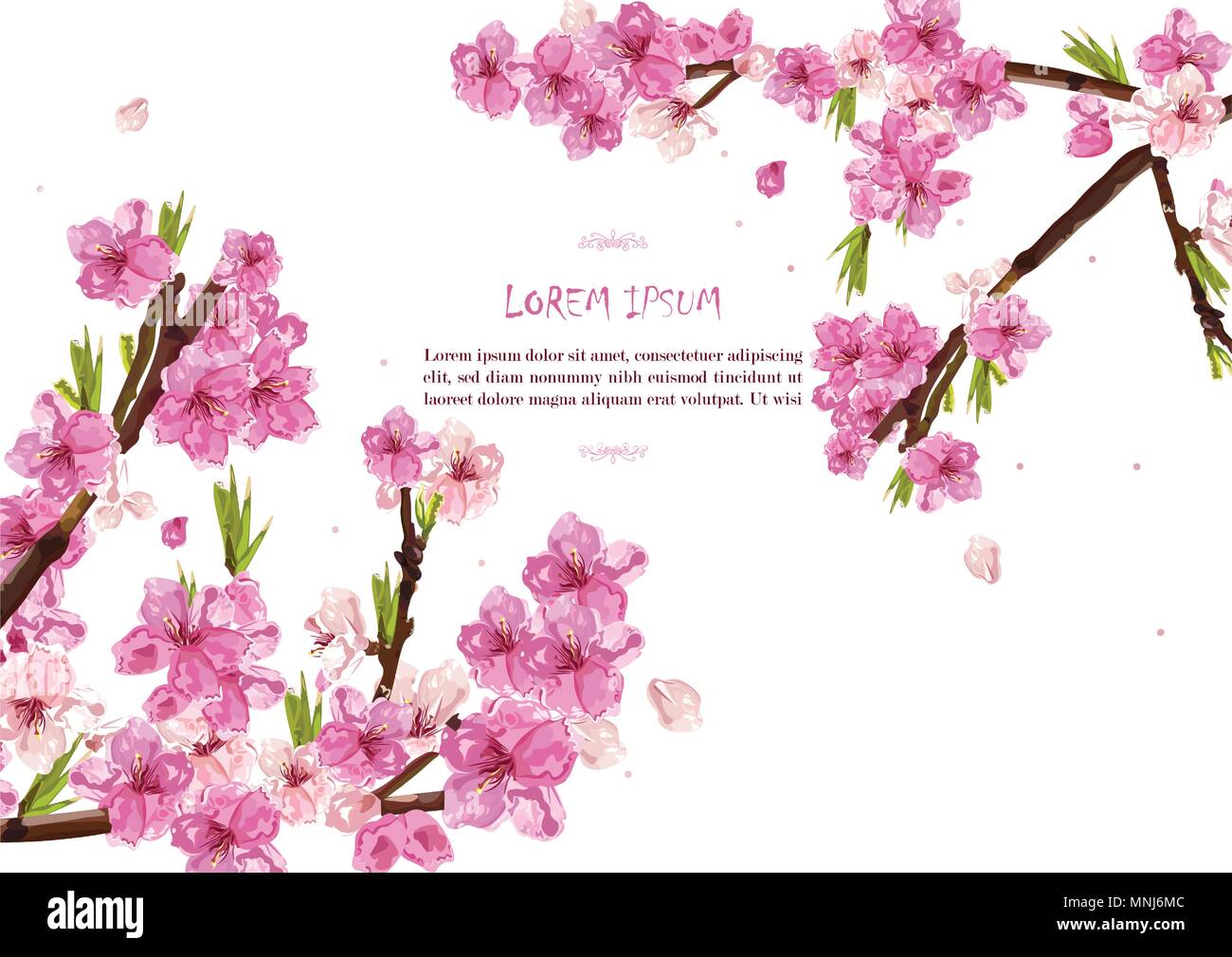 Cherry flowers Vector. Spring card background decor Stock Vector Image ...
