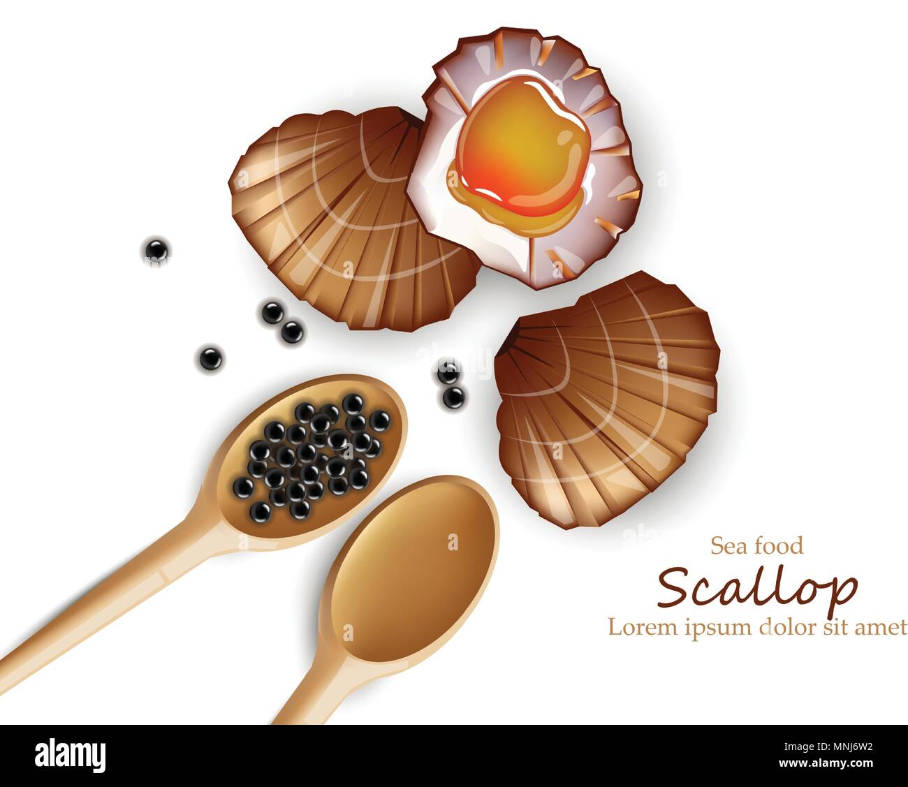 Scallop Vector realistic seafood. Fresh shellfish. 3d detailed ...
