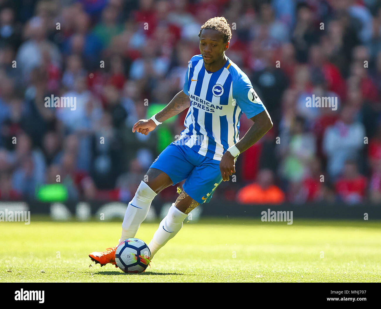 Gaetan bong of brighton & hove albion hi-res stock photography and ...