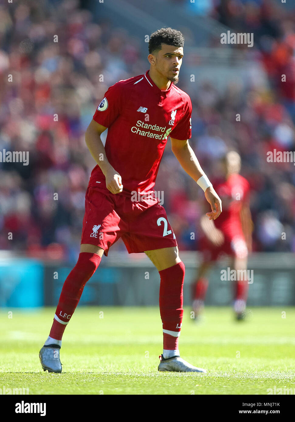 Dominic solanke liverpool brighton hi-res stock photography and images ...