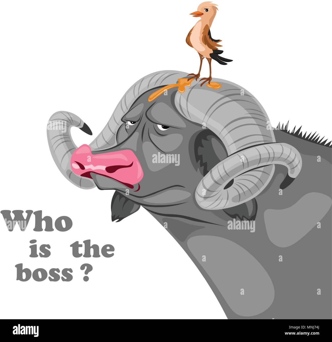 Bird sitting on a buffalo head Vector. Who is the boss concept. Funny ...