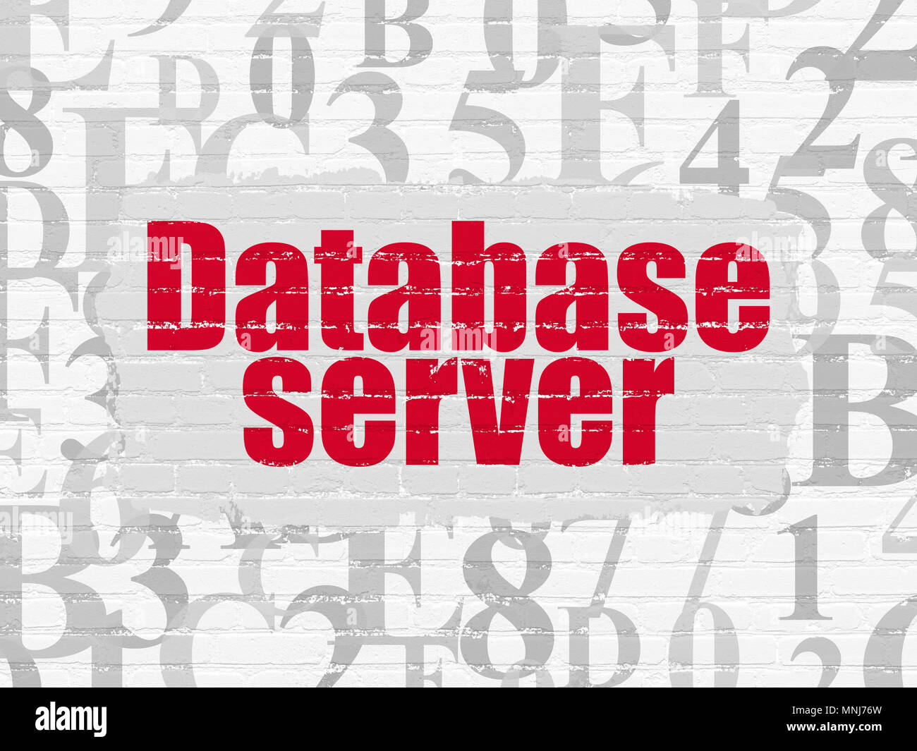 Database concept: Database Server on wall background Stock Photo - Alamy