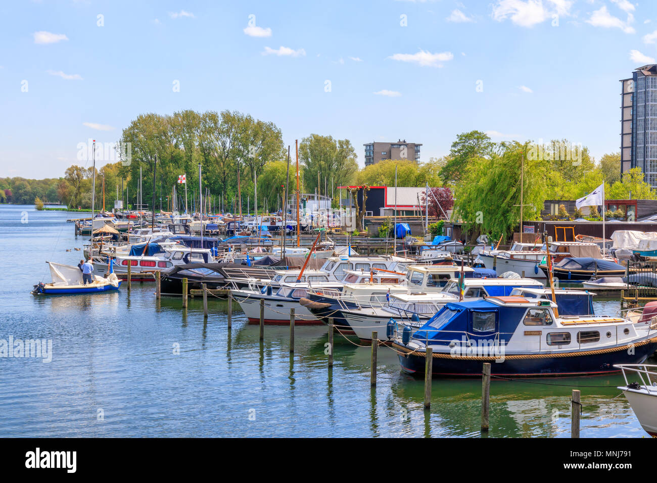 Kralingen rotterdam hi-res stock photography and images - Alamy