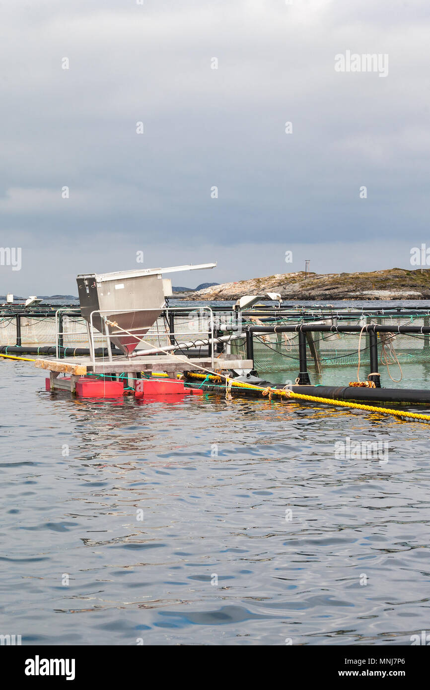 Fish farming in cages at sea Stock Photo - Alamy