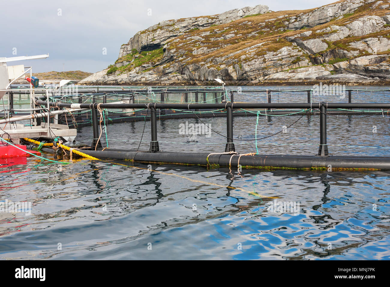 Cage system aquaculture hi-res stock photography and images - Alamy