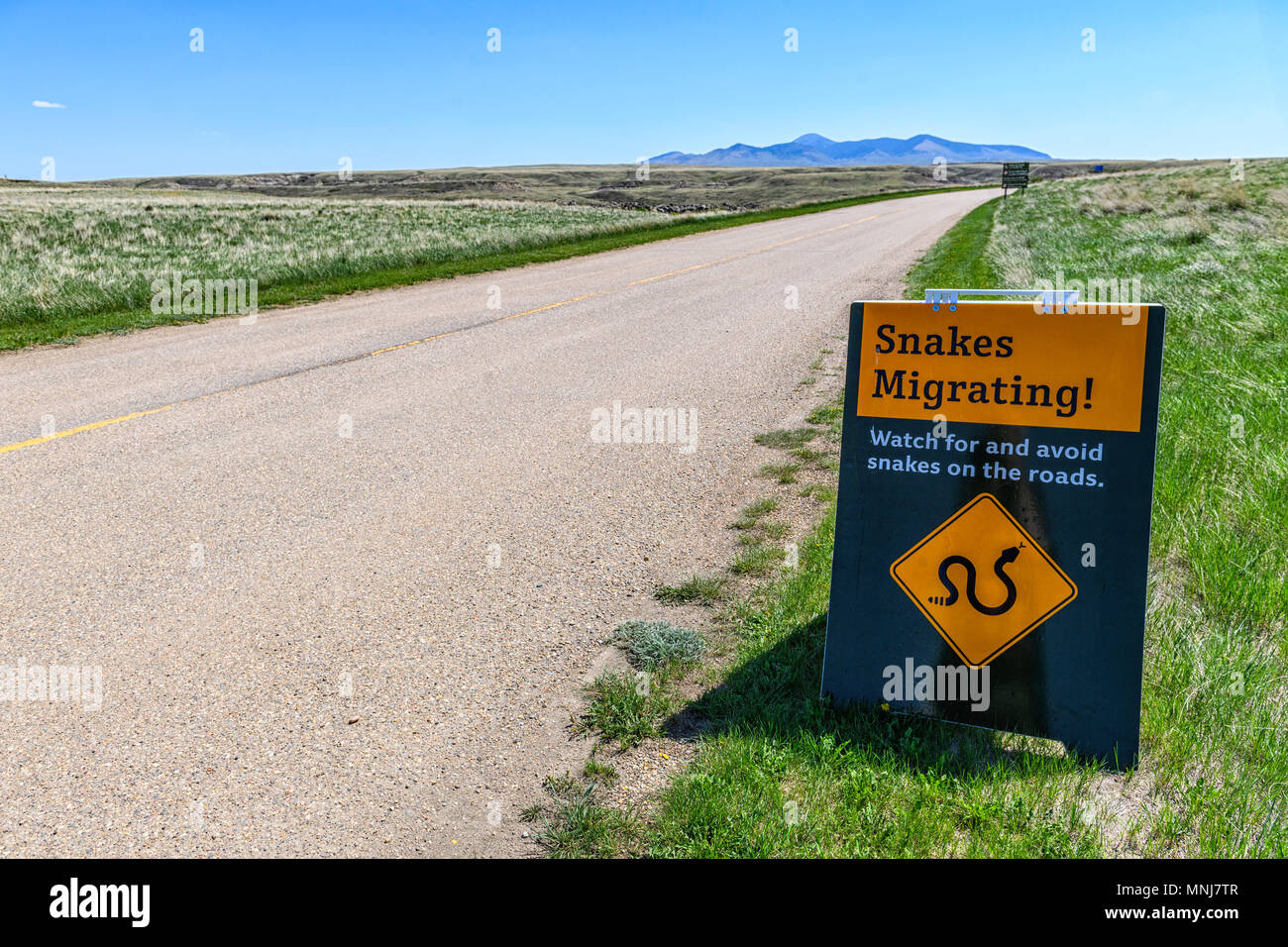 Snake migration warning sign at the entrance to the Writing On Stone ...