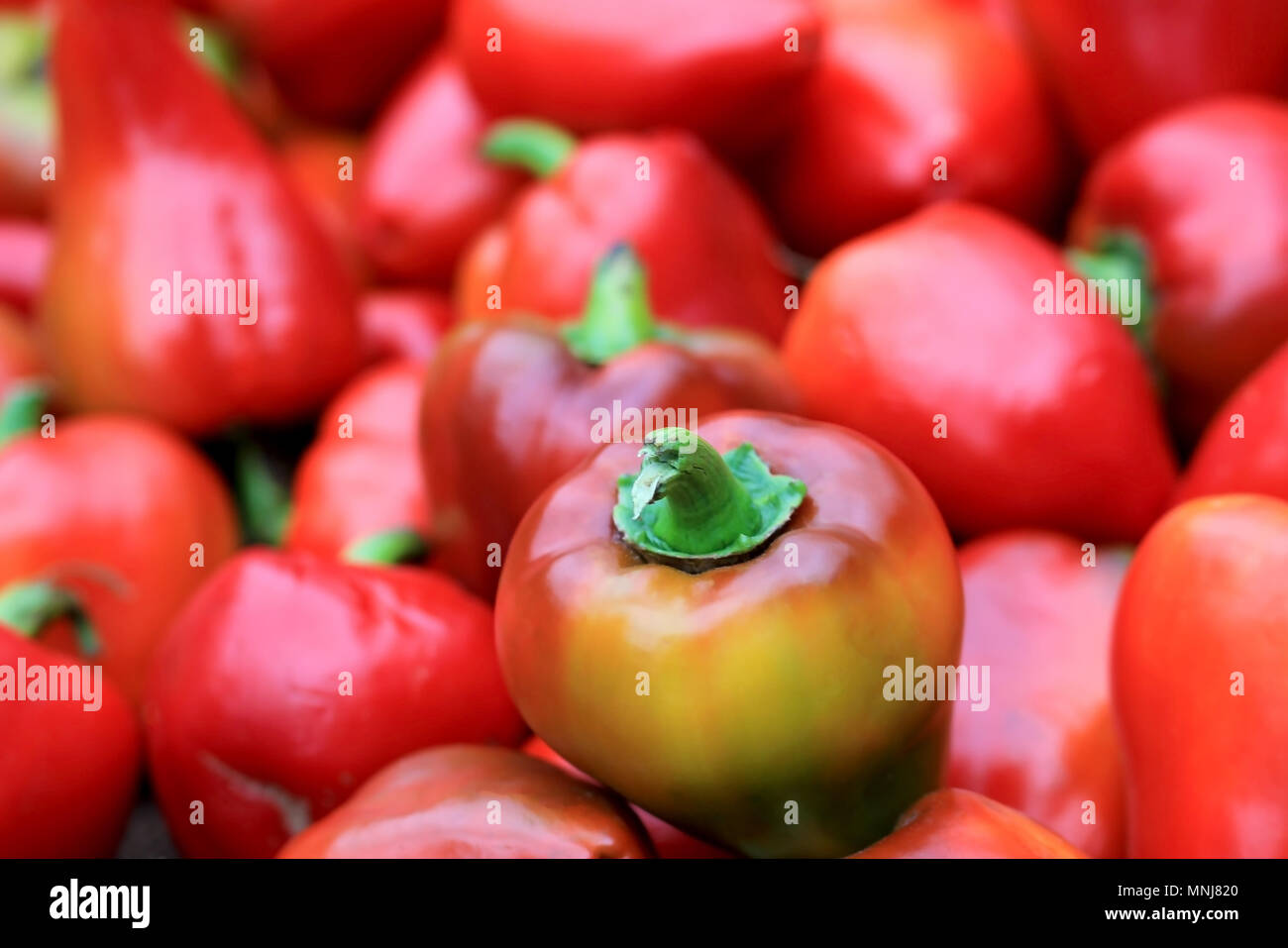 Colorful chile peppers mix hi-res stock photography and images - Alamy