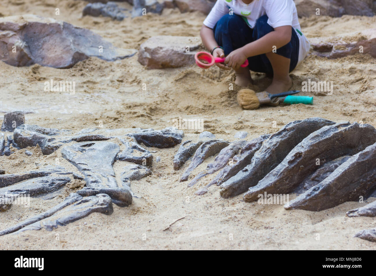 Children learning about, Excavating dinosaur fossils simulation in the ...