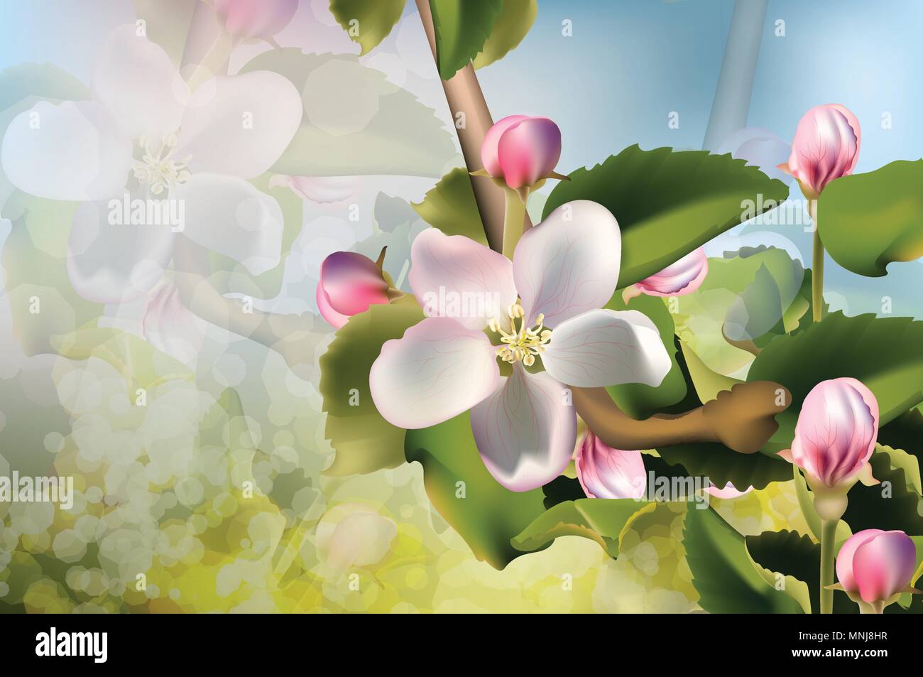 Cherry flowers background Vector. Beautiful spring card Stock Vector ...