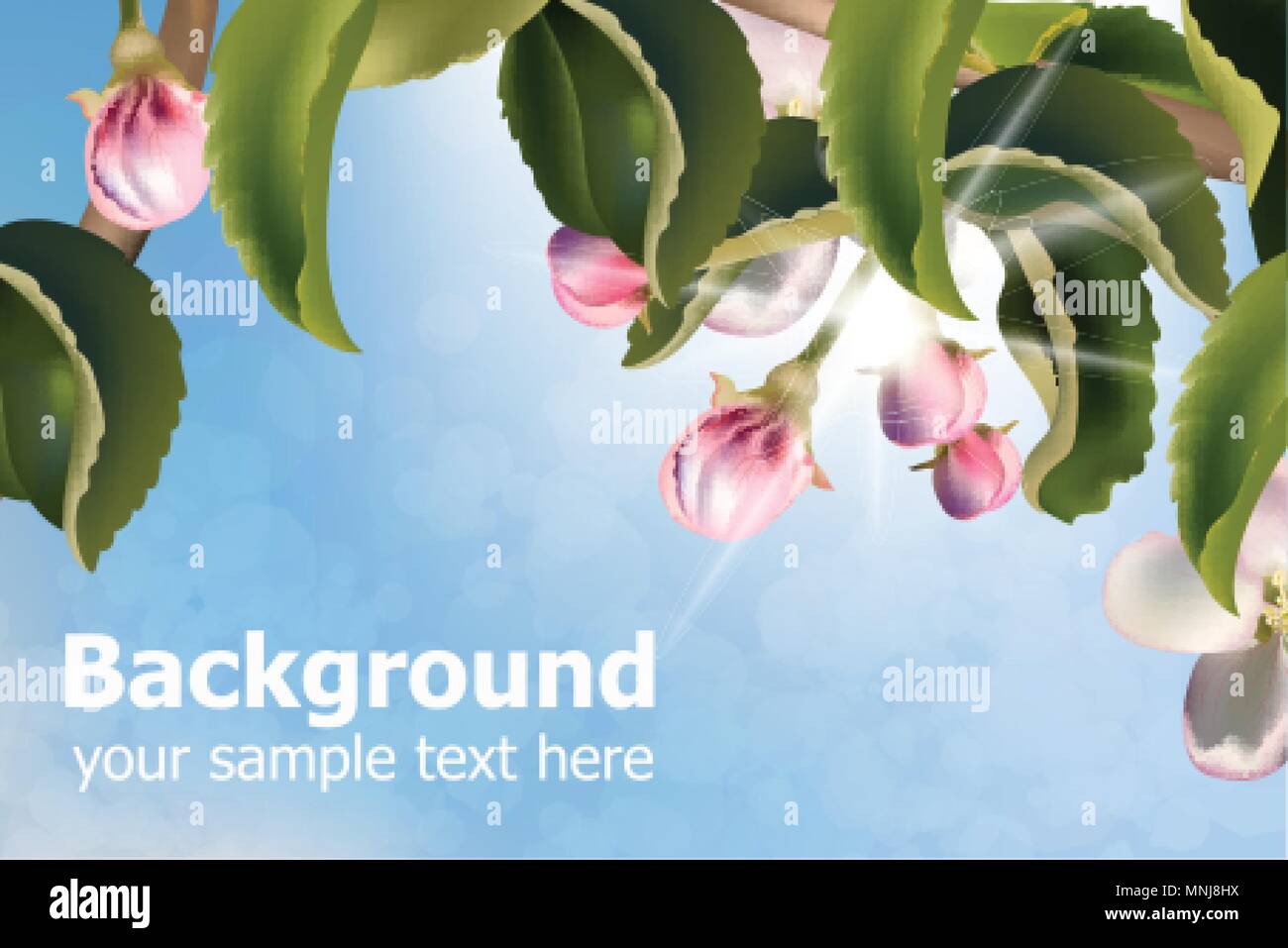 Cherry flowers background Vector. Beautiful spring card Stock Vector ...