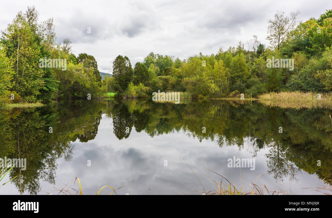 reflections on a pond reflections on a pond Stock Photo - Alamy