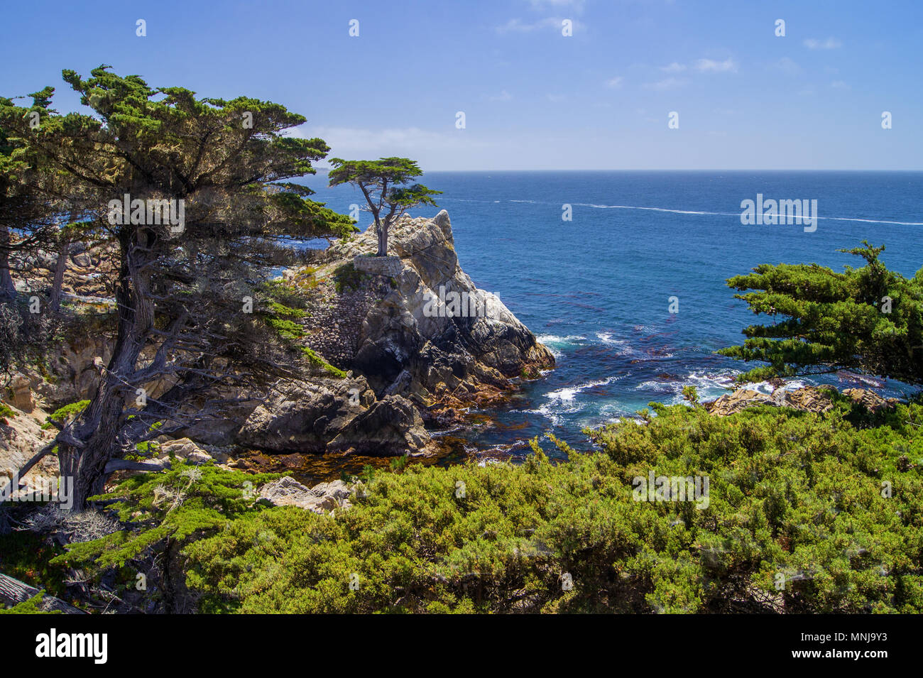 Lonely cypress tree hi-res stock photography and images - Alamy