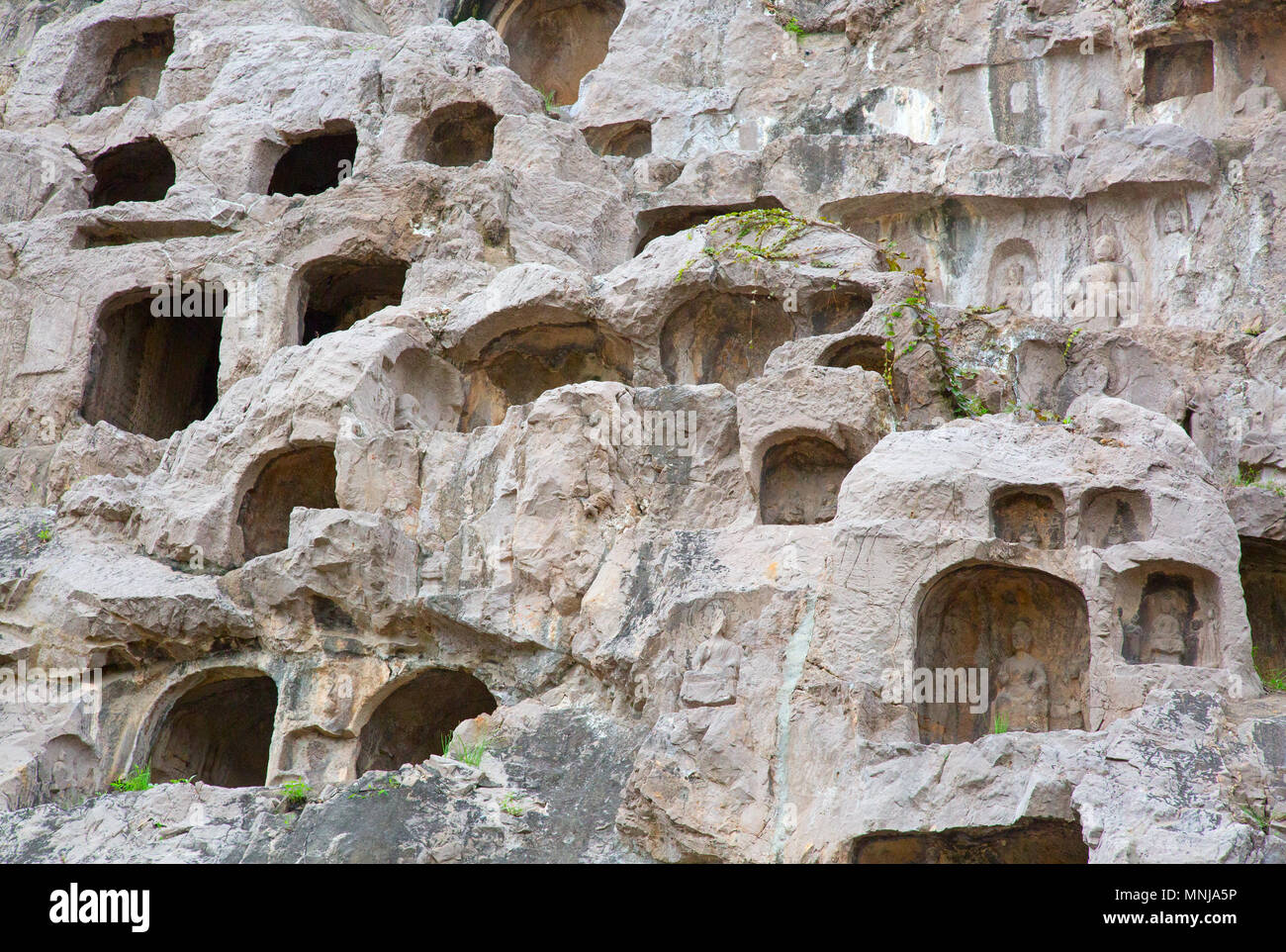 Famous Longmen Grottoes (statues of Buddha and Bodhisattvas carved in ...