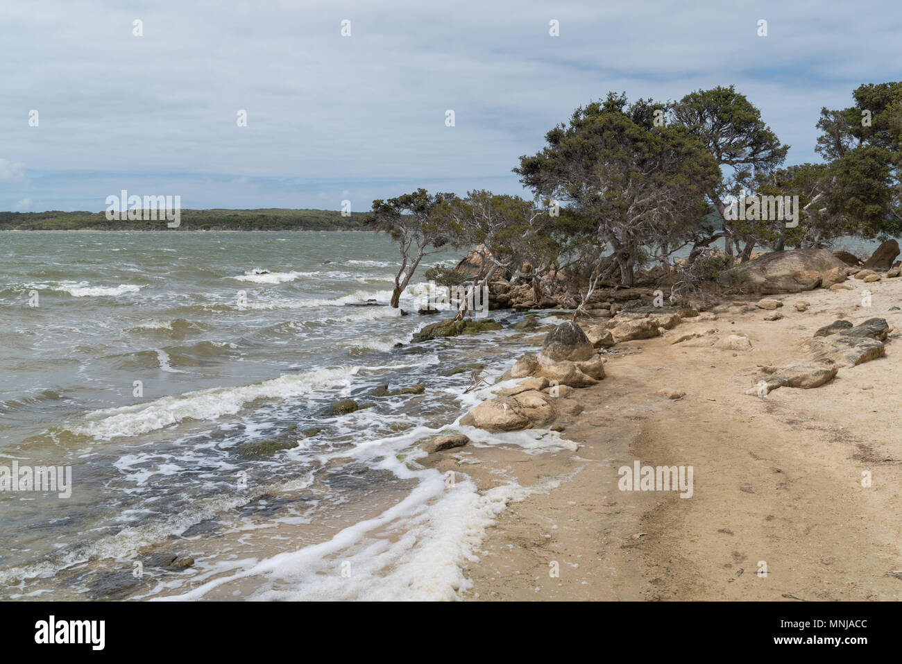 Lakeside landscape within the Stokes National Park, Western Australia ...