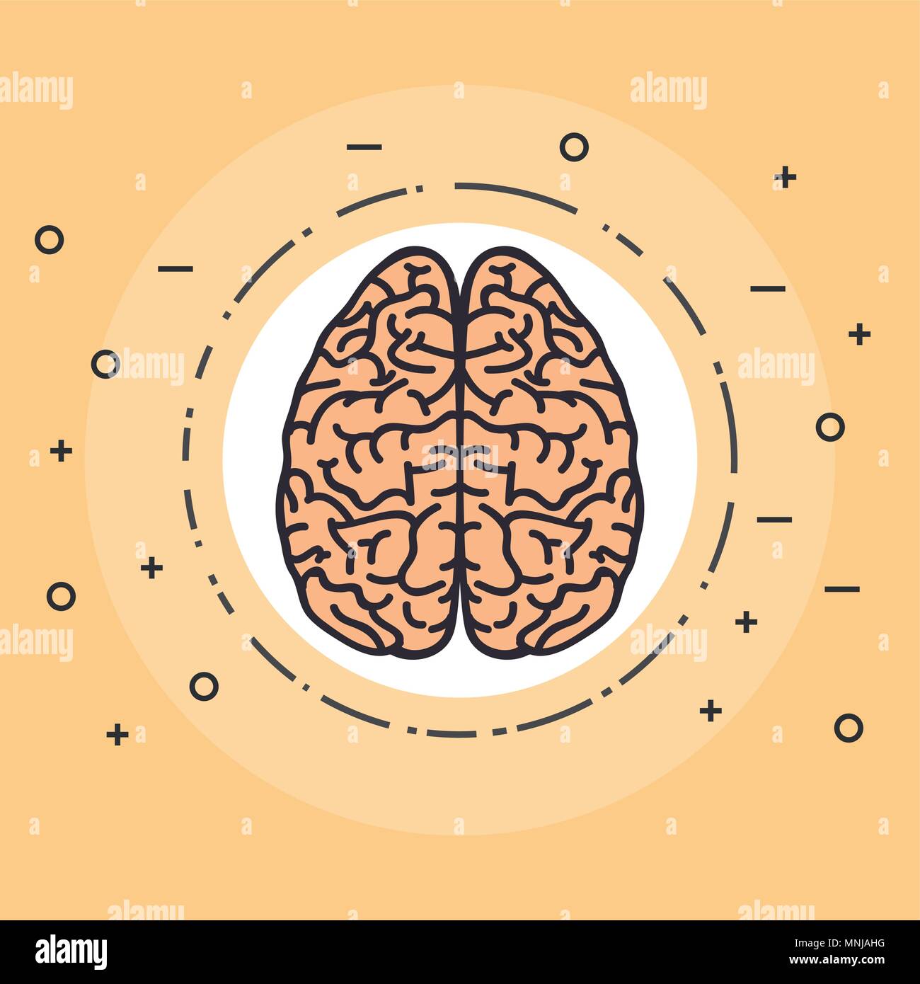 creative brain idea concept Stock Vector Image & Art - Alamy